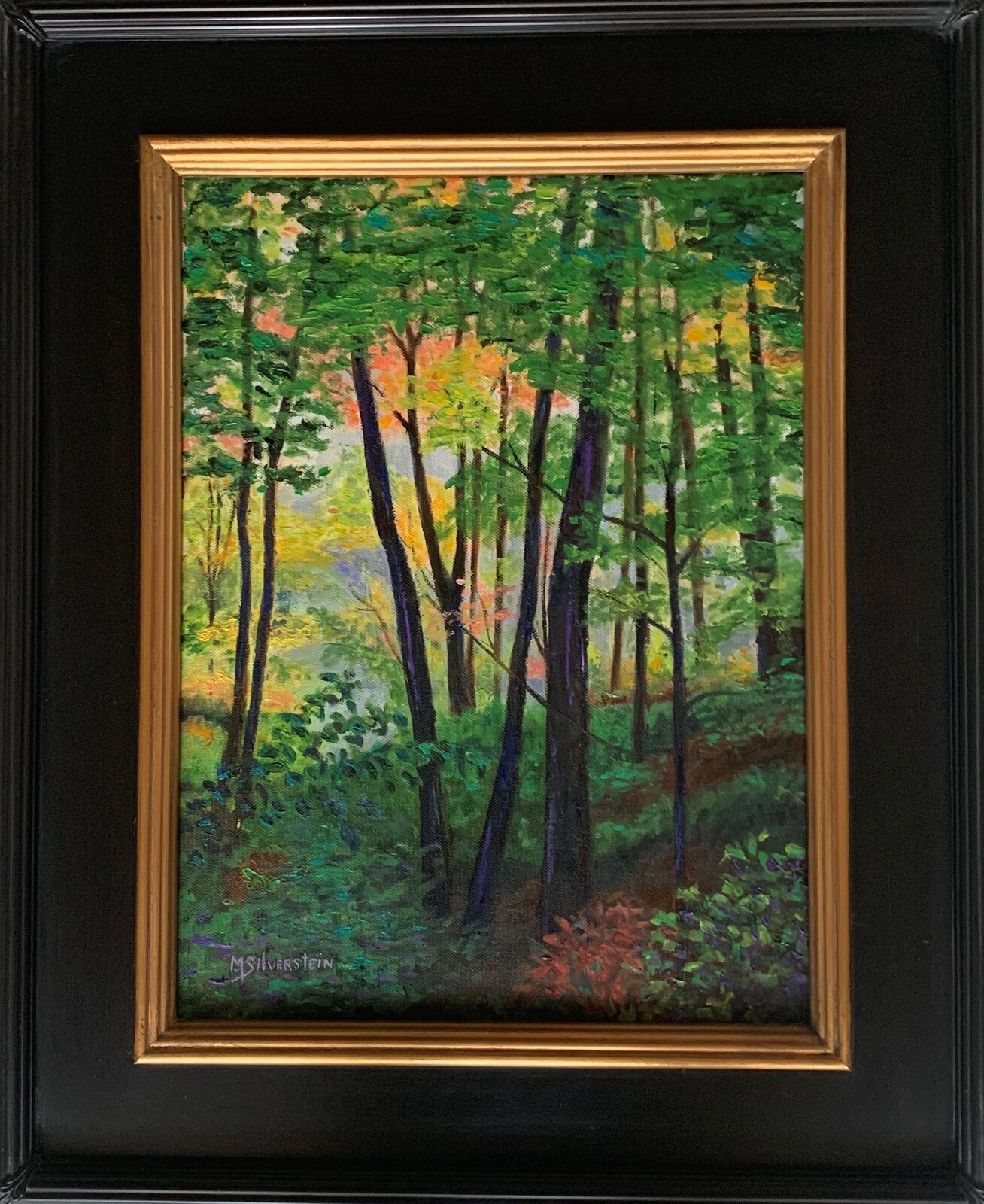 Solutide - Marilyn Silverstein Art