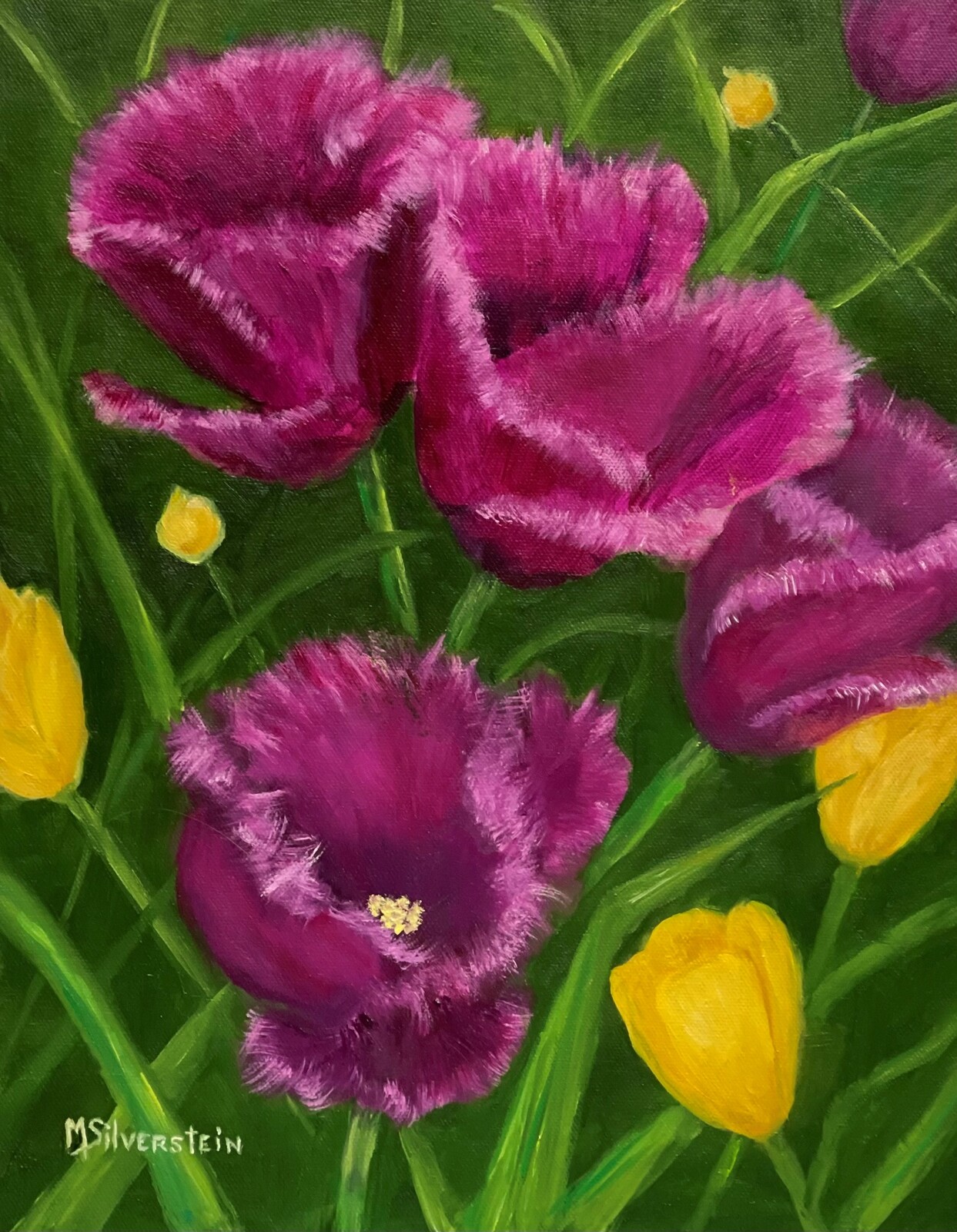 Shaggy Tulips - Marilyn Silverstein Art